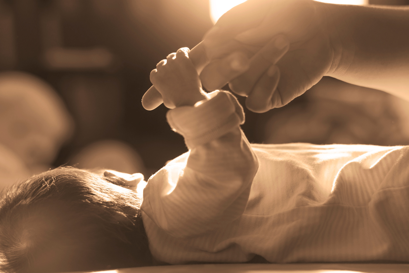 Pro Life Pictures Babies