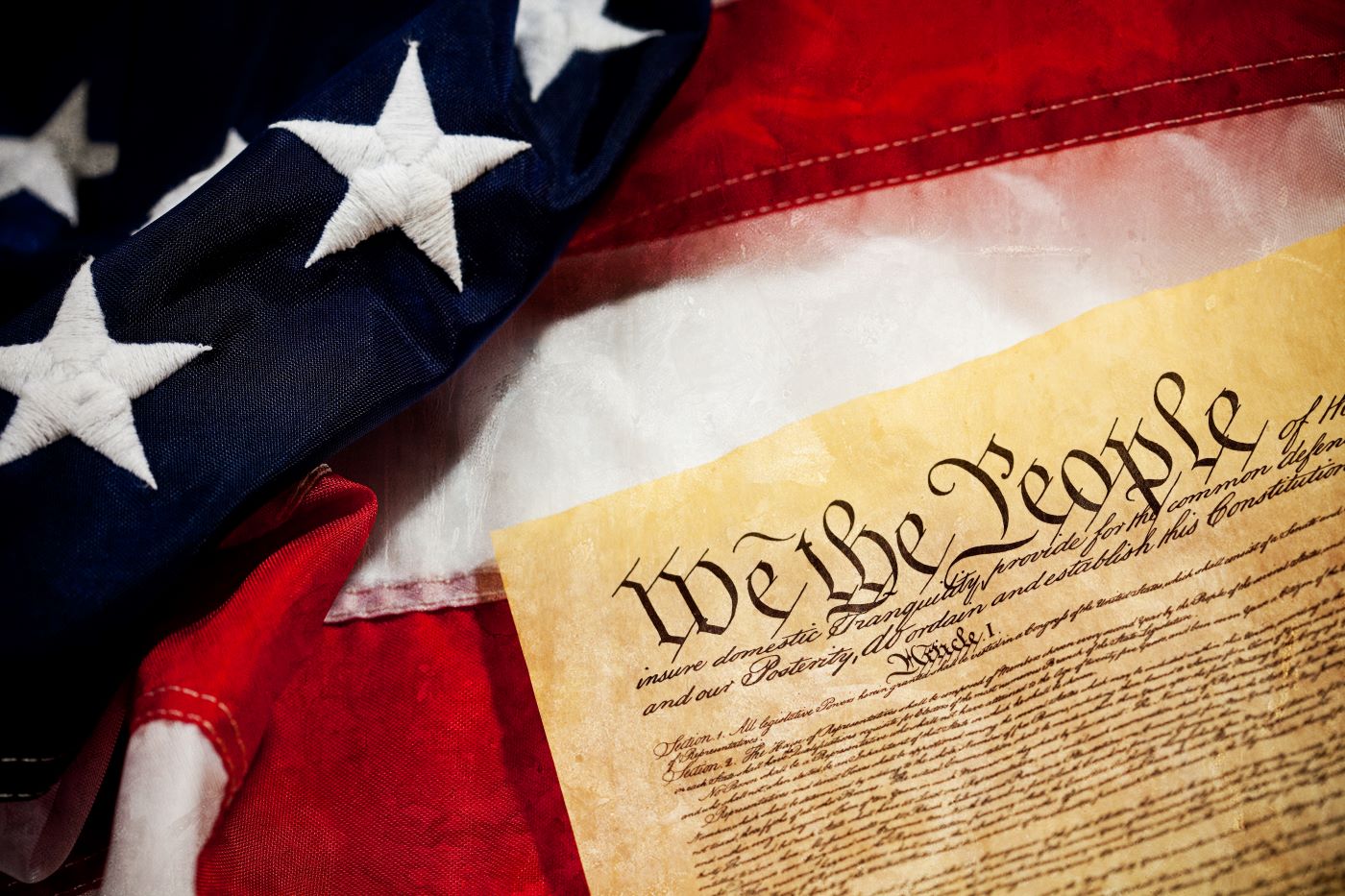 The Constitution and Its Critics - Public Discourse